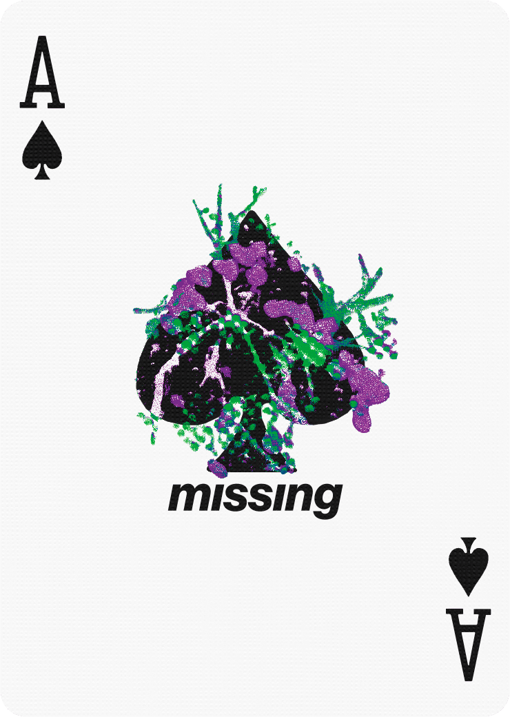 STORE - 2024 - MISSING